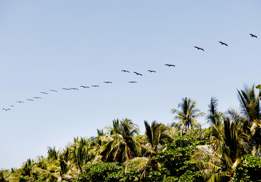 Simon Koy — Costa Rica